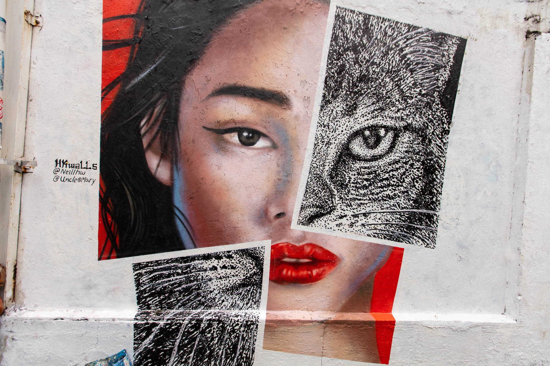 NEIL WANG & WONG TING FUNG 2019 – HKwalls.org